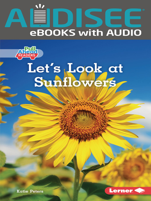 Let's Look at Sunflowers - Libby
